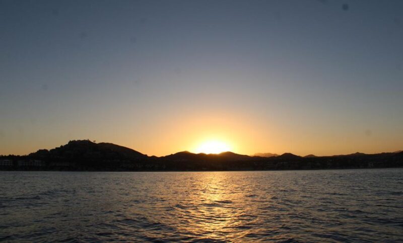San Jose del Cabo Sunset Whale Watching - Key Points