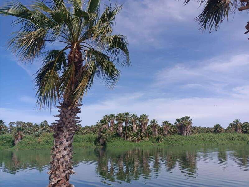 SAN JOSE GOLDEN - FAQs