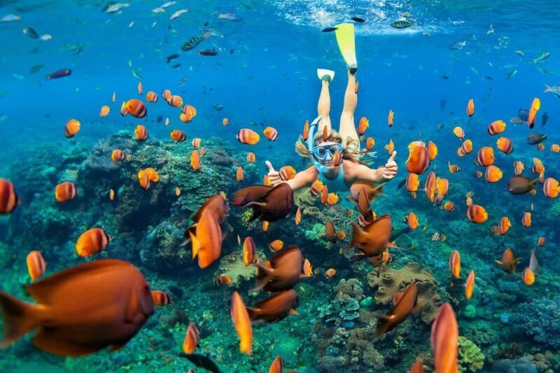 San Juan Beach, Cabo Huertas Alicante: Rental Bike & snorkel - A Detailed Look at the Experience