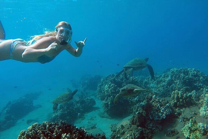 San Juan Guided Snorkel With Turtles Tour and Videos - Key Points
