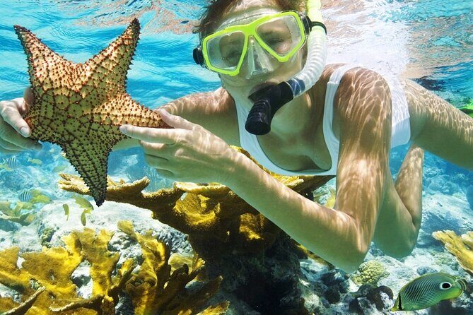 San Juan Guided Snorkeling Experience - With Transport 8am or 3pm - Key Points