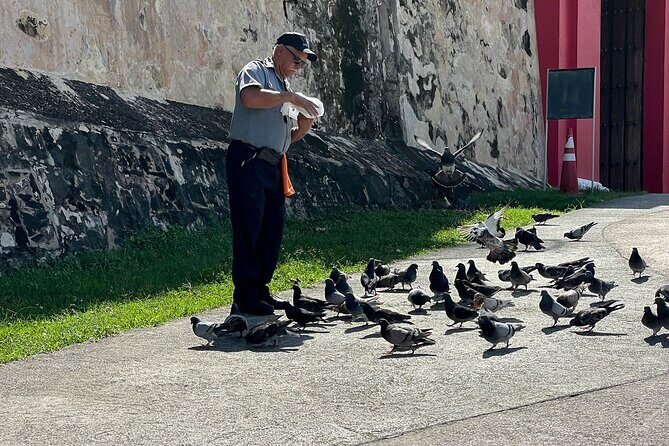 San Juan Highlights Private Guided Tour - The Value and Who It’s Best For