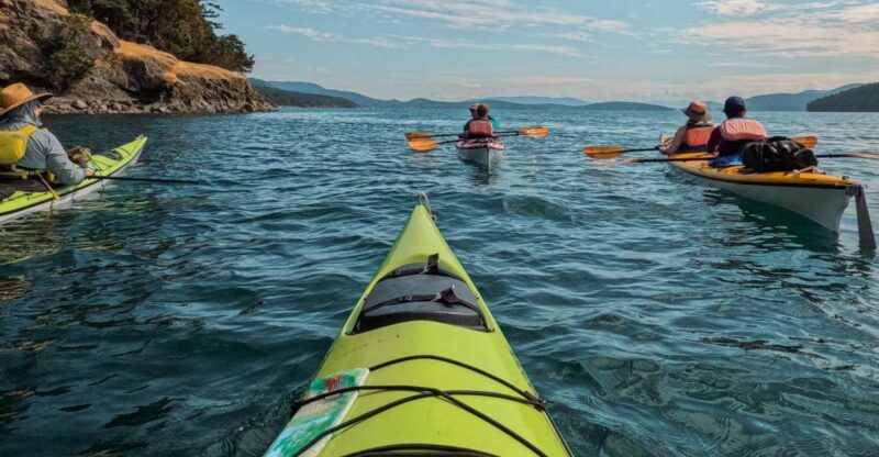 San Juan Island: 3-h Griffin Bay Tour - Who Will Love This Experience?