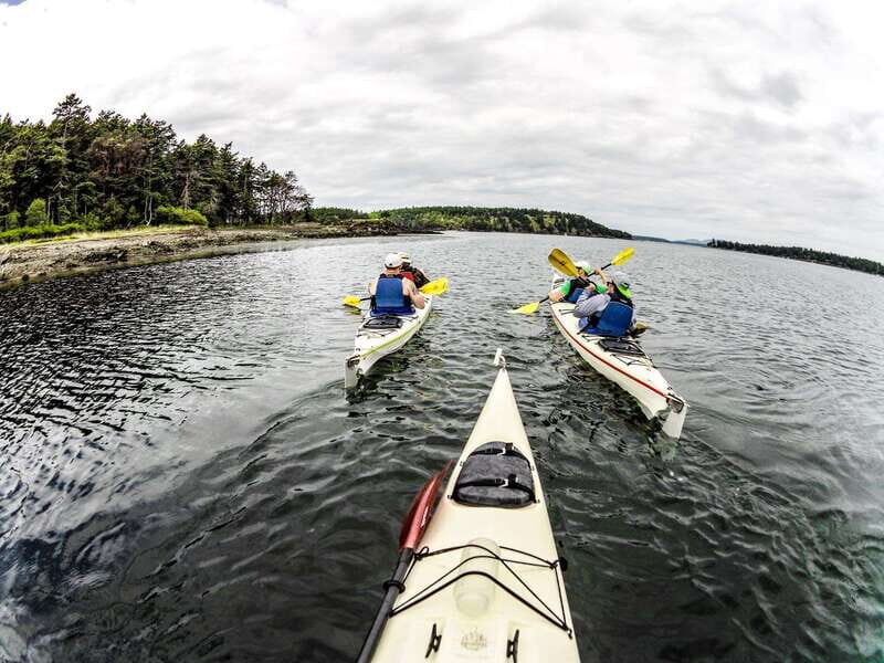 San Juan Island: Full Day Kayaking Tour with Lunch - A Practical Review of San Juan Island’s Full Day Kayaking Tour with Lunch