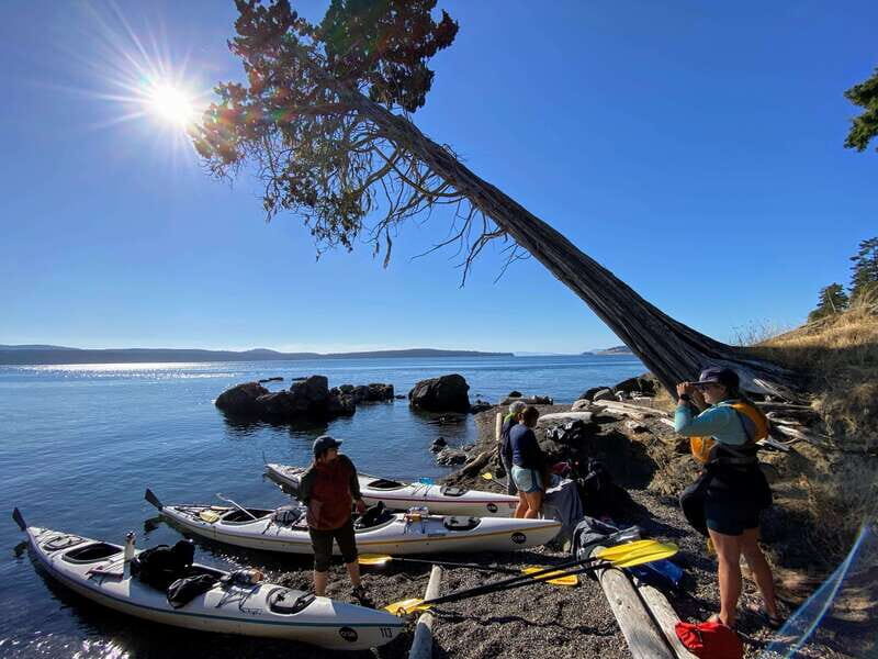 San Juan Island: Full Day Kayaking Tour with Lunch - Practical Tips for Your Day Out