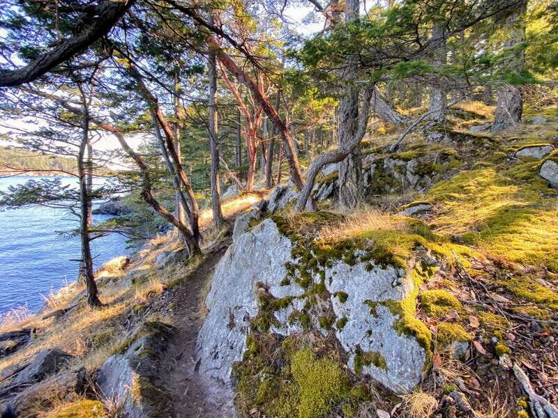 San Juan Island: Full Day Kayaking Tour with Lunch - The Sum Up: Who Will Love This Tour?
