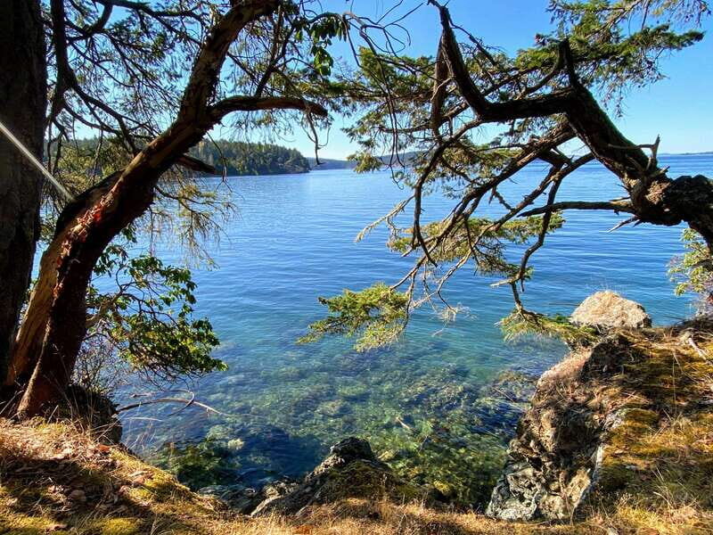 San Juan Island: Full Day Kayaking Tour with Lunch - Who Would Enjoy This Tour?