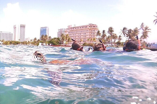 San Juan: Kids and Family Snorkeling Adventure with Videos - Cost and Value: Is It Worth It?