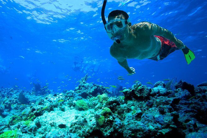 San Juan | Paddleboard | Kayak | Snorkeling | Guided Tours - Key Points