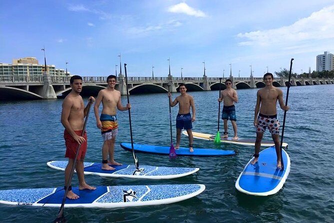 San Juan | Paddleboard | Kayak | Snorkeling | Guided Tours - The Experience: What You Can Expect