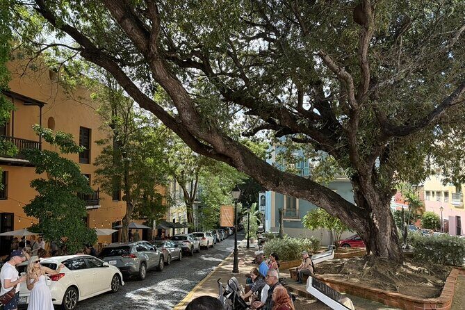 San Juan Private Food Tour with 7 Tastings of Authentic Flavors - The Experience Provider and Booking