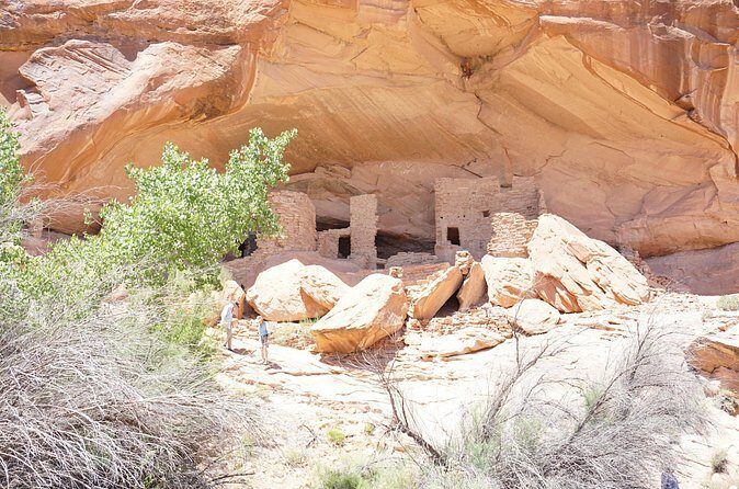 San Juan River and Hummer Cliff Dwelling Expedition - Authentic Insights from Reviews