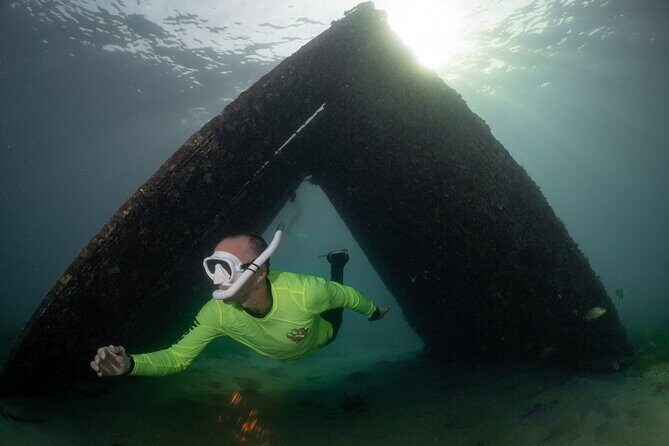 San Juan Snorkeling Tour with Fish and Turtles - Who Is This Tour Best For?