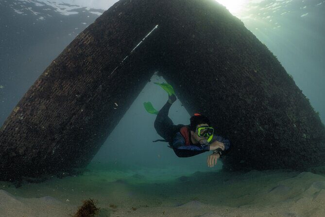 San Juan Snorkeling Tour with Fish and Turtles - Final Thoughts