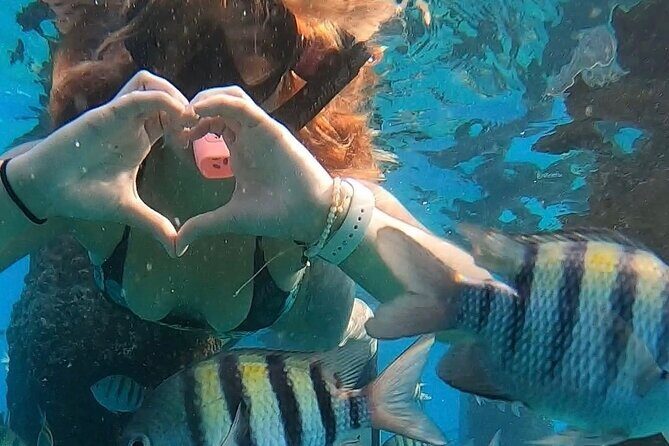 San Juan: Snorkeling with Turtles Adventure and Free Videos - Why This Tour Is a Great Value