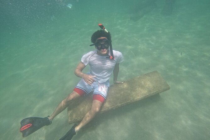 San Juan Turtle Spotting Snorkel Adventure with Videos - What to Expect from the San Juan Turtle Spotting Snorkel Adventure