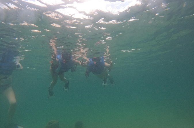 San Juan Turtle Spotting Snorkel Adventure with Videos - FAQ