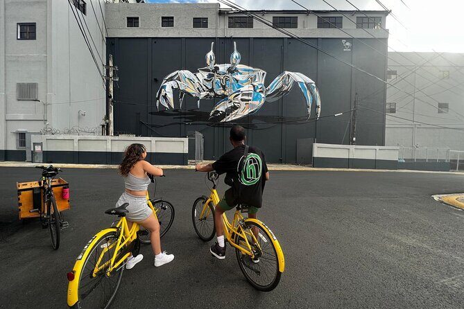 San Juan Urban Art Bike Tour 2 Hour and 4 Hour Options - Practical Details That Make a Difference
