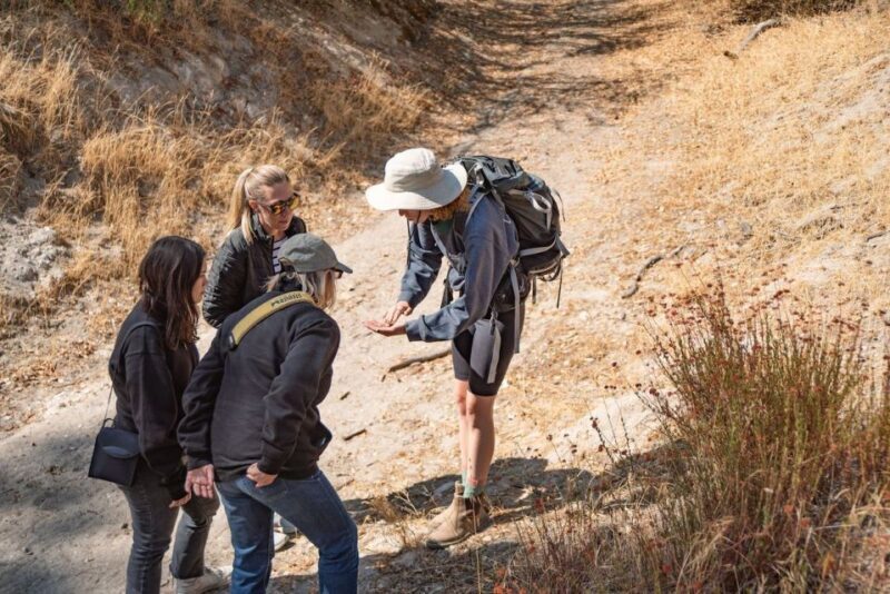 San Luis Obispo: Margarita Ranch Foraging Tour - What to Expect on the Tour