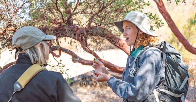 San Luis Obispo: Margarita Ranch Foraging Tour - The Itinerary in Detail