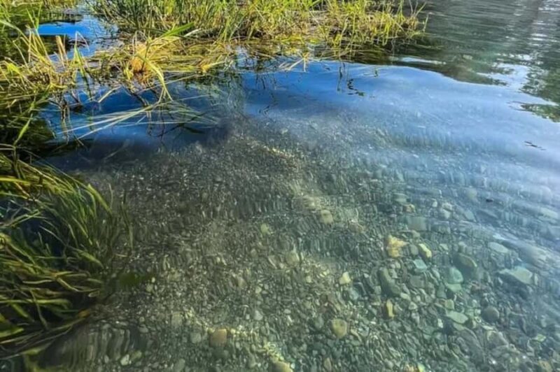 San Marcos: Clear Kayak Eco Tour on Spring-Fed River - Key Points
