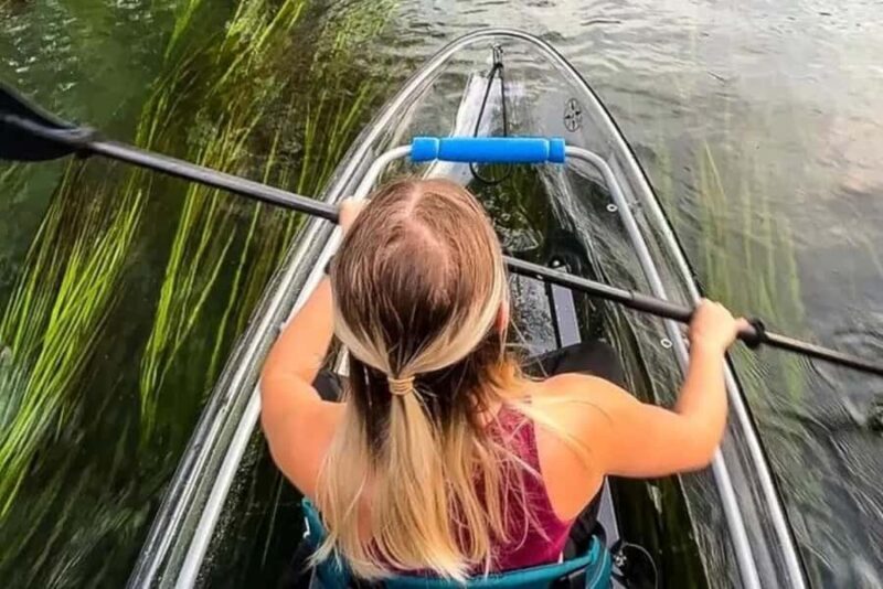 San Marcos: Clear Kayak Eco Tour on Spring-Fed River - An Introduction to the Clear Kayak Eco Tour