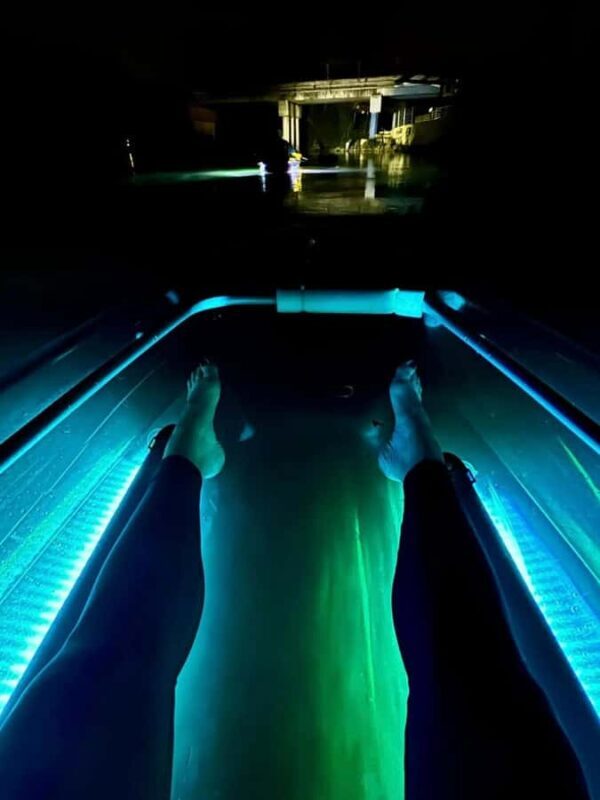 San Marcos: Clear Kayak Eco Tour on Spring-Fed River - The Sum Up