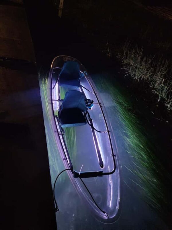 San Marcos: Sunset Clear Kayak Eco Tour with Glow Lights - Authenticity & Value