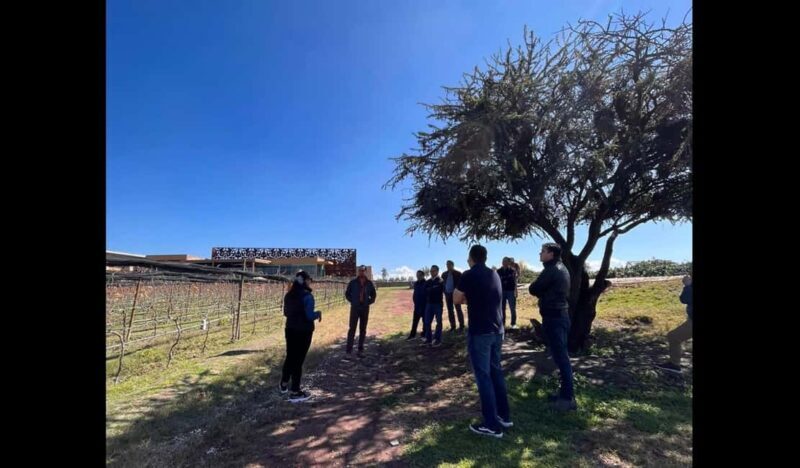 San Miguel Allende: Guanajuato Wine Route vineyard tour - Who Will Enjoy This Tour Most?