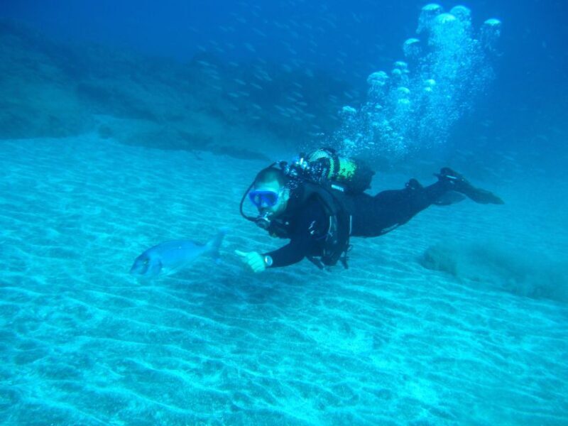 San Miguel de Abona: 2Dive Package - Guides and Educational Value