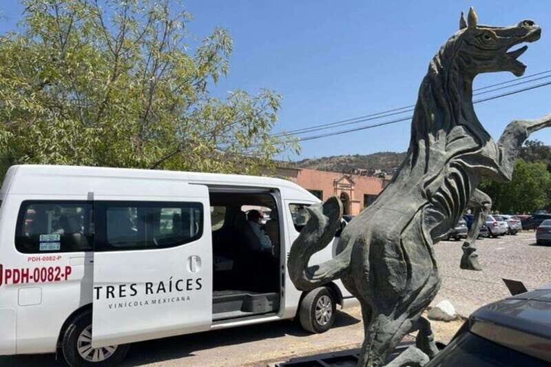 San Miguel de Allende: Local Vineyard Tour & Wine Tasting - Key Points