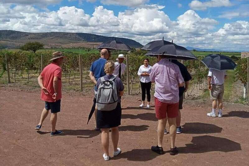 San Miguel de Allende: Local Vineyard Tour & Wine Tasting - An In-Depth Look at the Experience