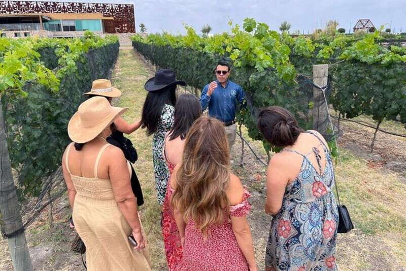 San Miguel de Allende: Local Vineyard Tour & Wine Tasting - FAQ