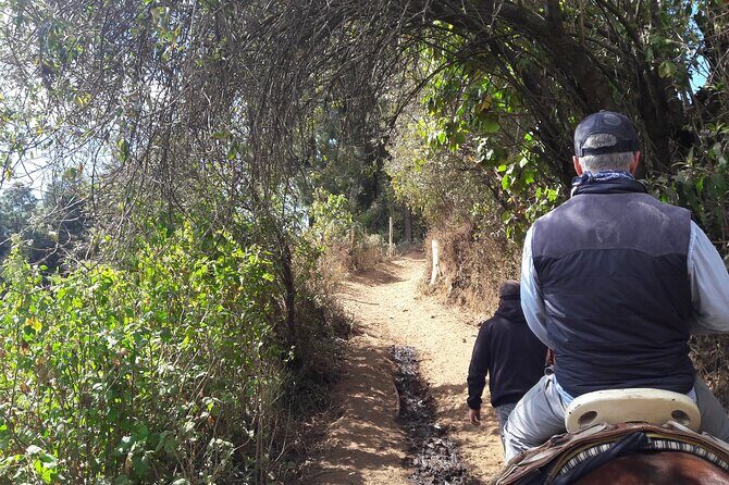 San Miguel de Allende Monarch Butterflies Tour - Who Will Love This Tour?