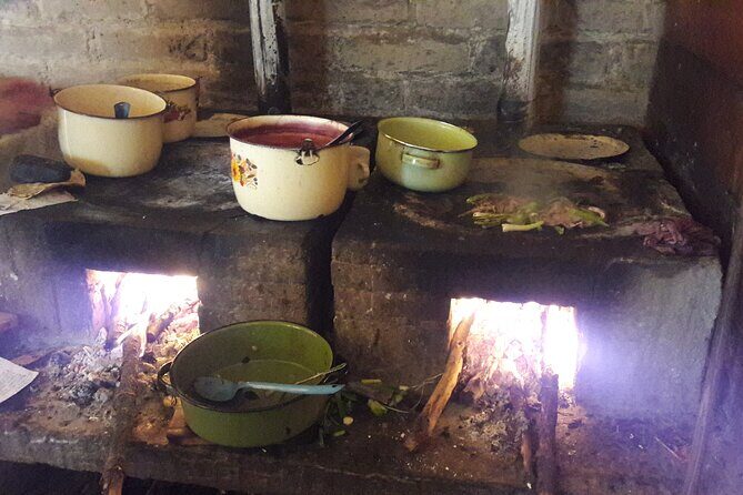 San Miguel de Allende Monarch Butterflies Tour - Frequently Asked Questions