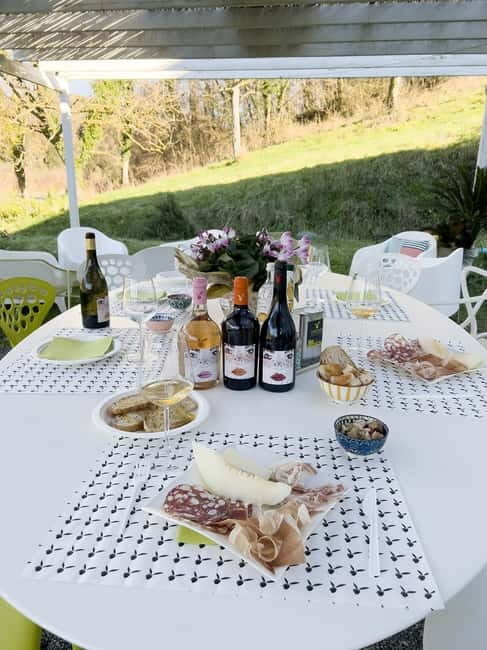 San Miniato: Organic Wine and Olive Oil Tasting Experience - In-Depth Review of the Experience