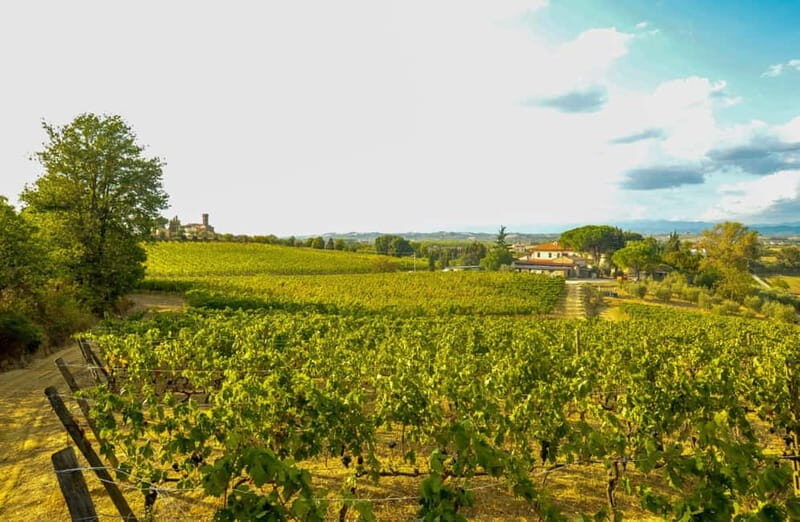 San Miniato: Organic Wine Tasting and Vineyard Tour - Final Thoughts