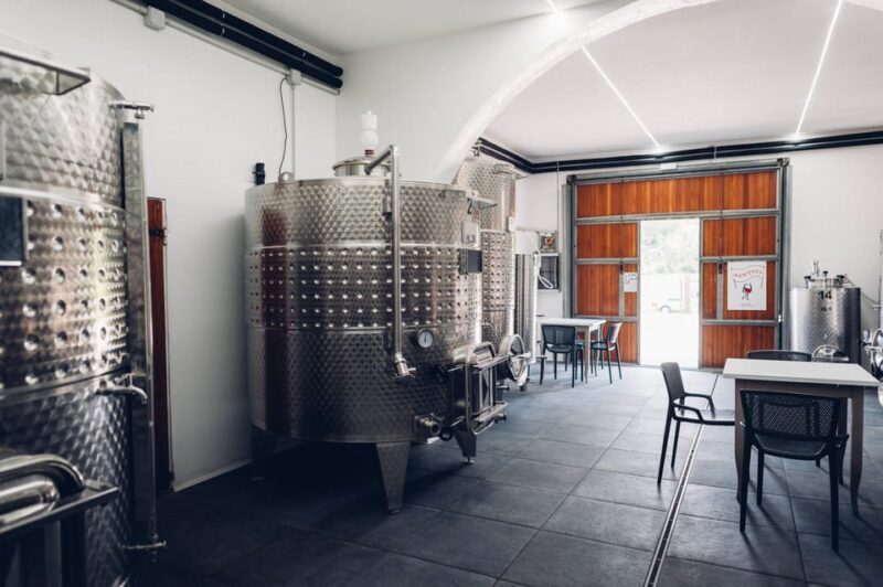 San Miniato: Wine Tour in a Family-Run Tuscan Winery - An In-Depth Look at the Experience