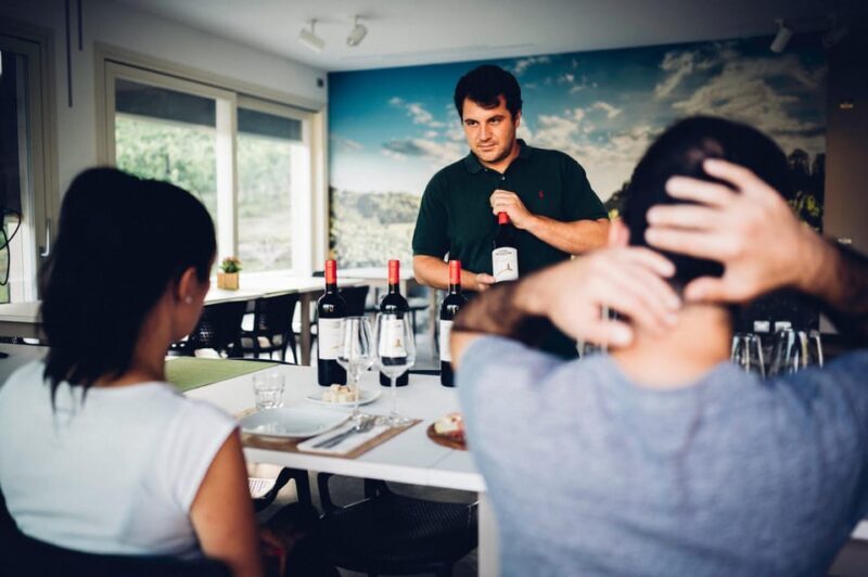 San Miniato: Wine Tour in a Family-Run Tuscan Winery - What to Expect and Consider