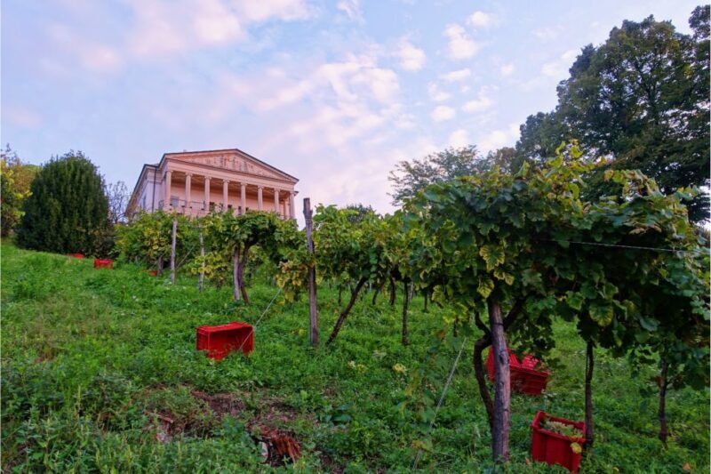 San Pietro di Feletto: Vineyard Tour with Cellar Visit - Final Thoughts