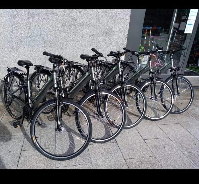 San Sebastian: Bike tour with FREE snack & drink! - Why This Bike Tour Stands Out