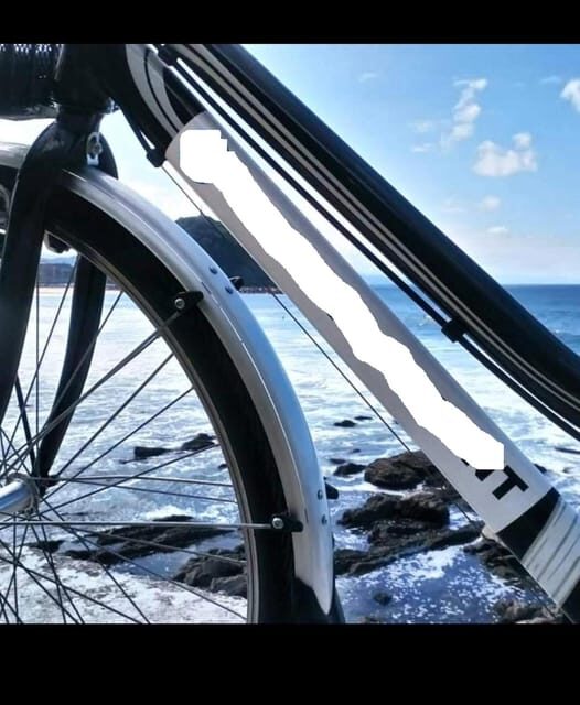 San Sebastian: Bike tour with FREE snack & drink! - Who Should Book This Tour?
