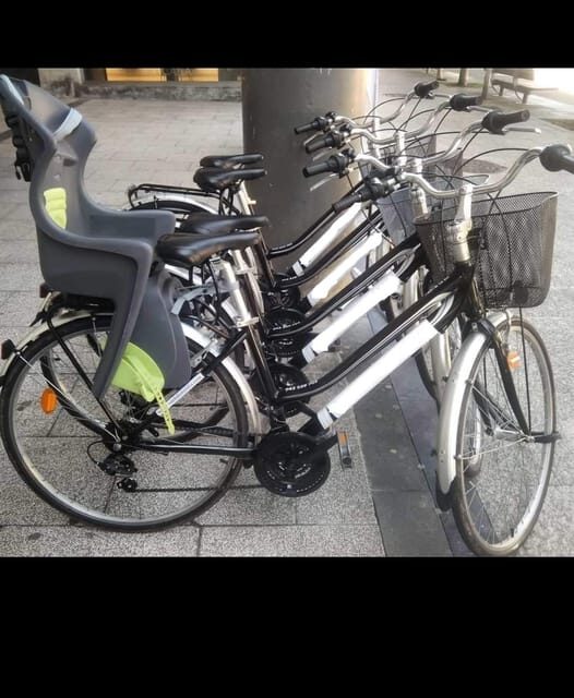 San Sebastian: Bike tour with FREE snack & drink! - The Sum Up