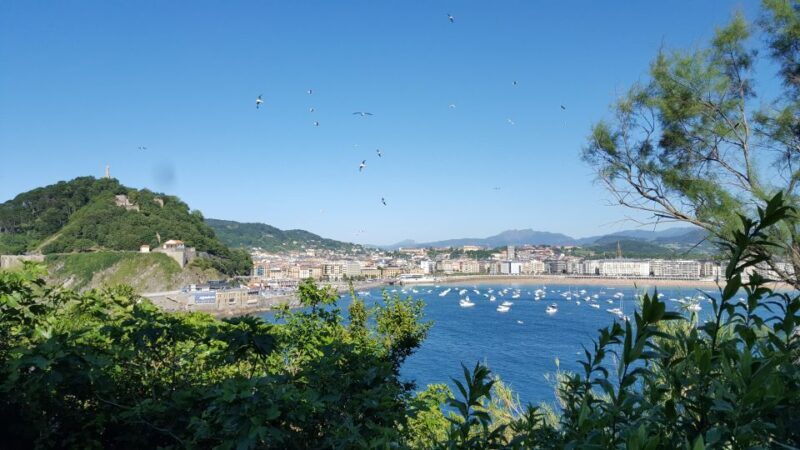San Sebastian: Boat Tour with Stop at Santa Clara - Authentic Experiences and Visitor Feedback