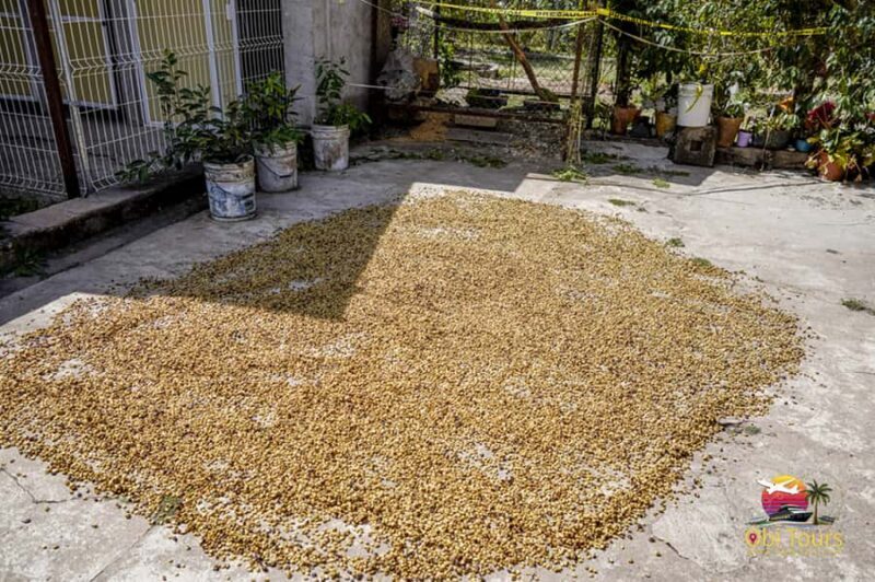 San Sebastian Del Oeste: Private Trip from Puerto Vallarta - Exploring San Sebastián del Oeste