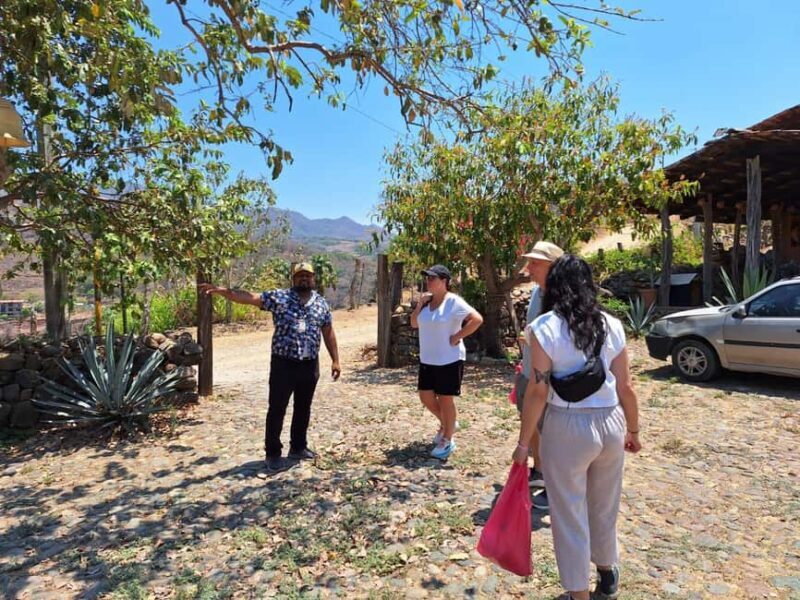 San Sebastian del Oeste: Tequila Tasting and Coffee Tour - An In-Depth Look at the Tour Experience