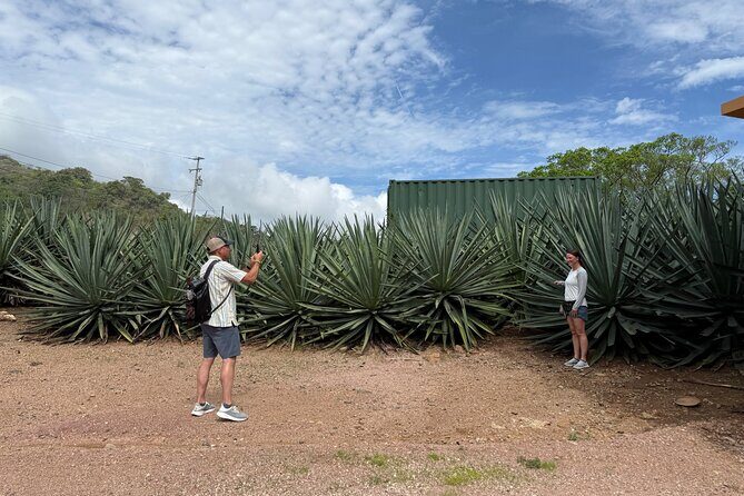 San Sebastián del Oeste Tour Coffee Tequila and Colonial Charm - Authentic Insights from Reviews