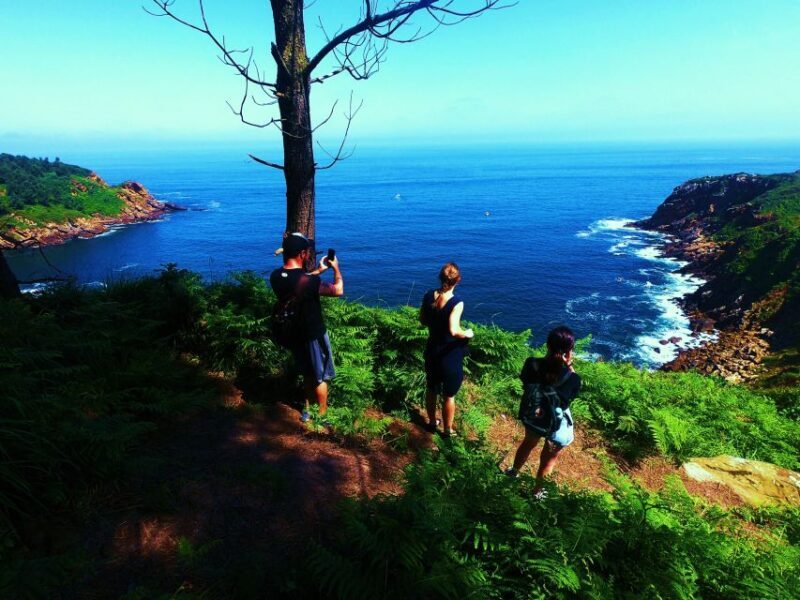 San Sebastián: Hike in the North Way of Saint James - Who Is This Tour Best For?