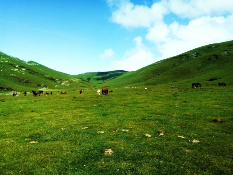 San Sebastián: Hike the Heart of the Basque Country - Who Should Consider This Tour?
