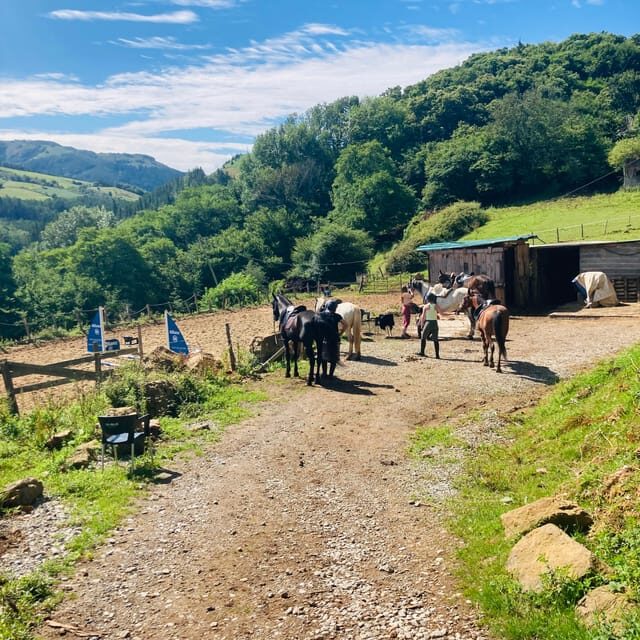 San Sebastian: Horseback Riding & Traditional Delights - Key Points